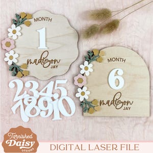 SVG Floral Monthly Milestones Sign, Flowers Milestone Cards, Baby Girl ...