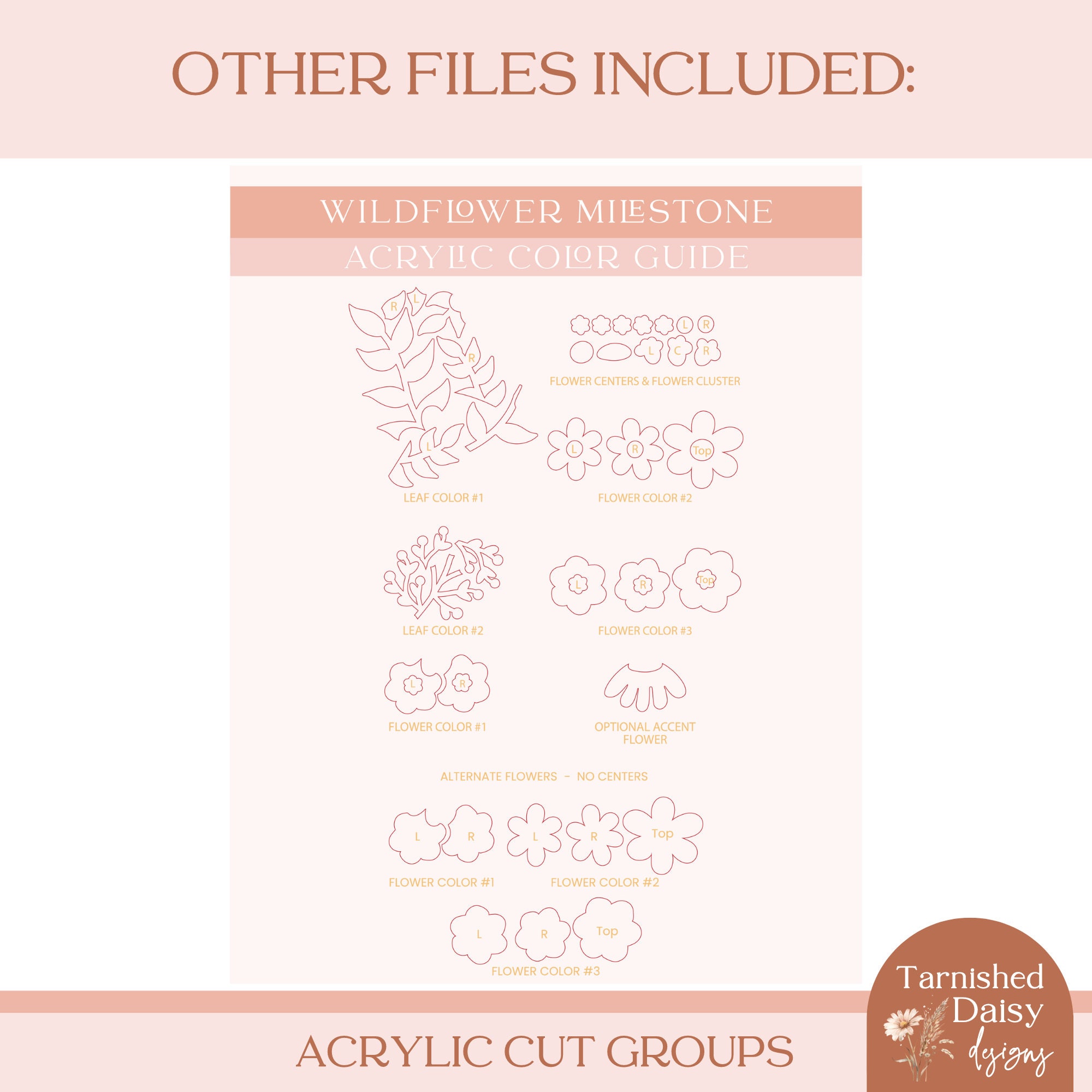 SVG Floral Interchangeable Monthly Milestones Laser Cutting File, Baby ...