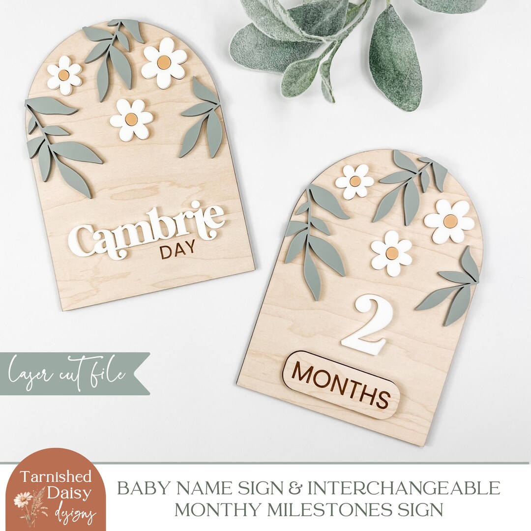 SVG Daisy Flower Arched Milestone Sign, Arched Baby Name Announcement ...