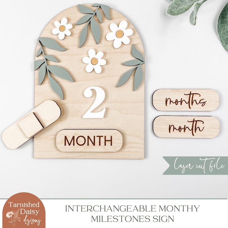 SVG Daisy Flower Arched Milestone Sign, Arched Baby Name Announcement ...