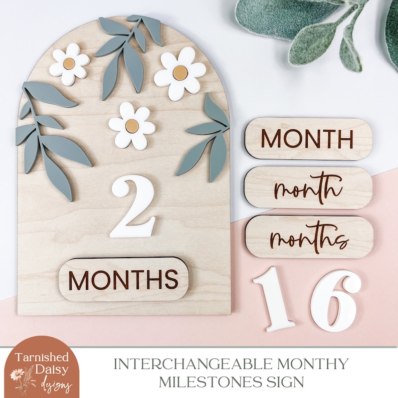 SVG Daisy Flower Arched Milestone Sign, Arched Baby Name Announcement ...