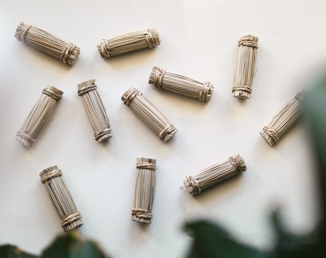 Mini Seagrass Bundle Foot Toy Pack - Seagrass Foot Toys, Toys for ...