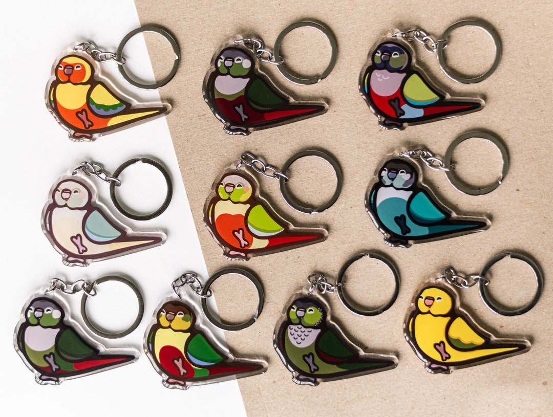 Conure Acrylic Keychains, Pick Your Conure! - Acrylic Parrot Keychains ...