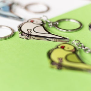 Indian Ringneck Acrylic Keychains, Pick Your Parakeet! - Custom Parrot ...