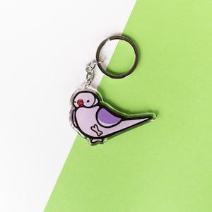 Indian Ringneck Acrylic Keychains, Pick Your Parakeet! - Custom Parrot ...