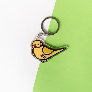Indian Ringneck Acrylic Keychains, Pick Your Parakeet! - Custom Parrot ...