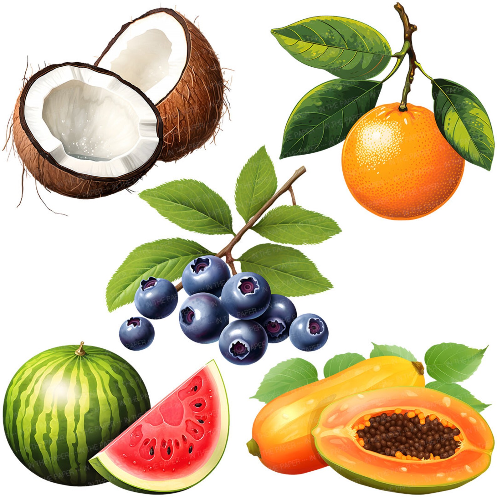 Fruit PNG | Summer Clip Art FIG Lime Kiwi Lemon Peach Red Apple Duria ...