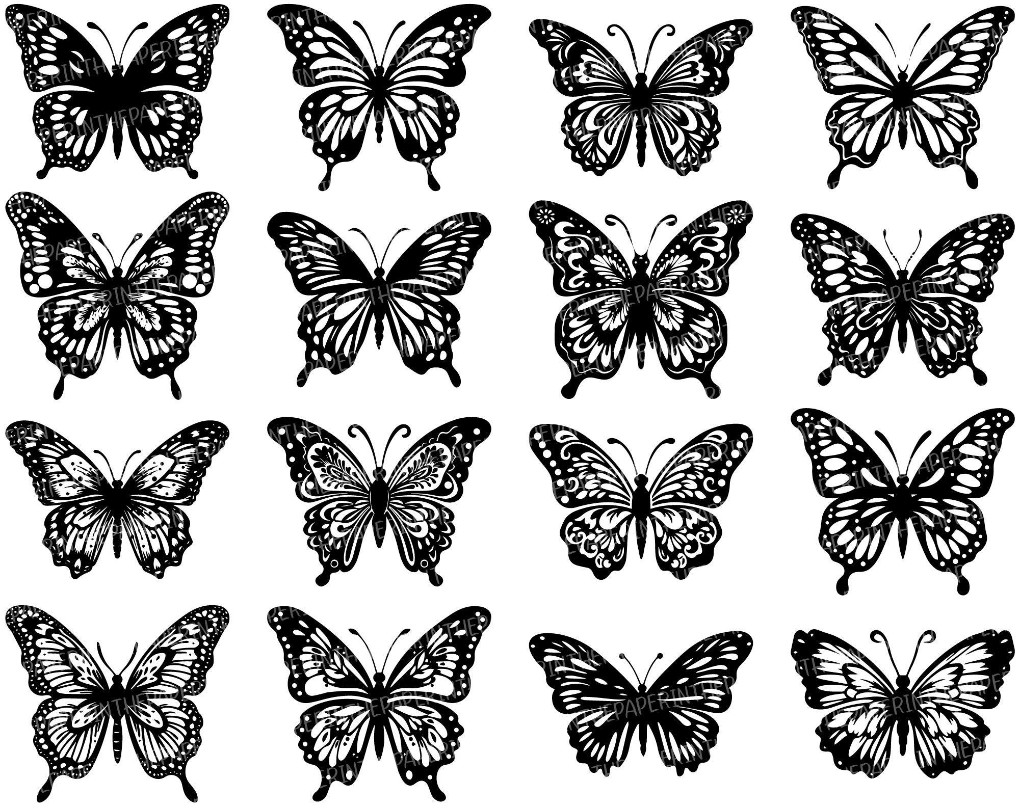 Butterfly SVG Mega Bundle, SVG File for Cricut, Silhouette, Black, Line ...