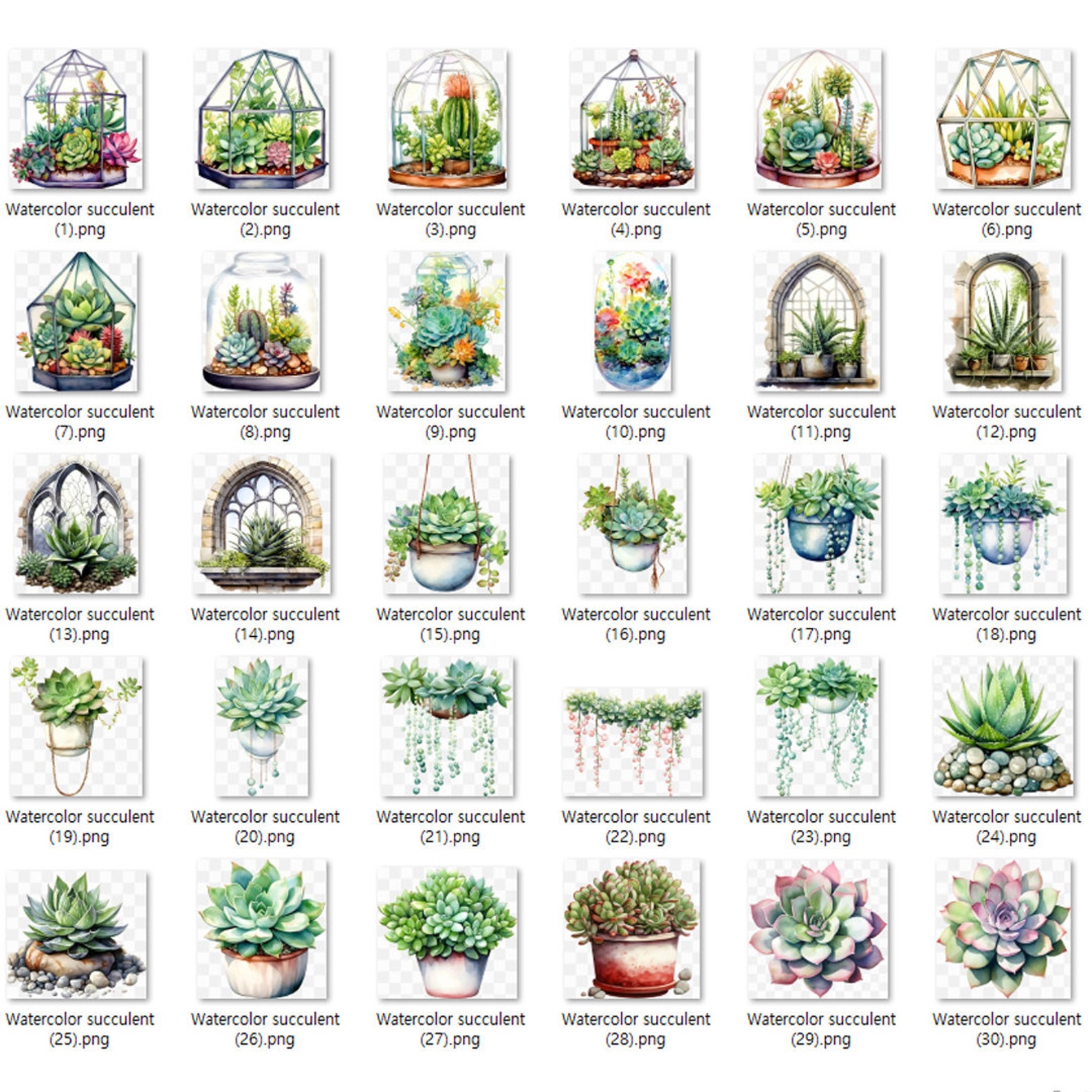 Vibrant Watercolor Cacti and Succulents | Cactus PNG Botanical Clip Art ...