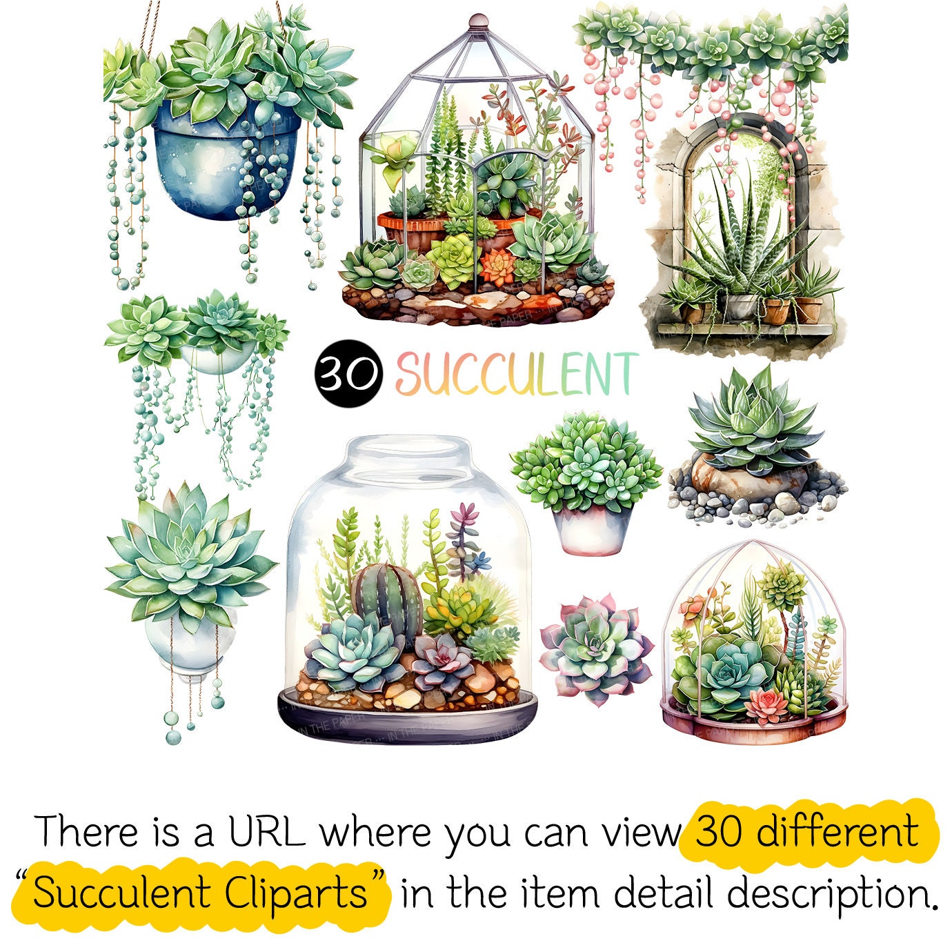 Elegant Curved Frame Succulent and Cactus PNG Watercolor Cactus Clip ...