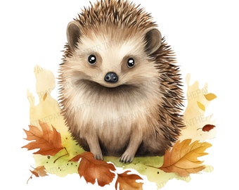 Geometric Owl Black Silhouette SVG Bird Animal PNG Colorful - Etsy