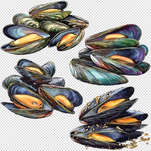 Mussels PNG | Seashell Clip Art Under the Sea Animal Seafood Planner ...
