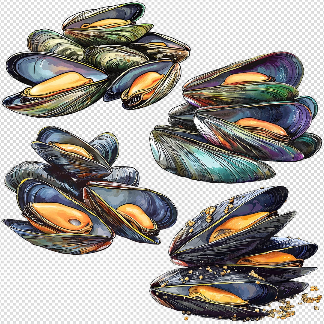 Mussels PNG | Seashell Clip Art Under the Sea Animal Seafood Planner ...