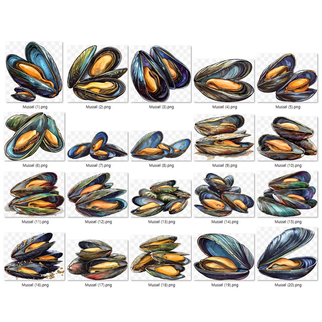 Mussels PNG | Seashell Clip Art Under the Sea Animal Seafood Planner ...