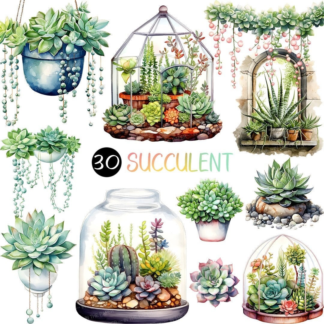 Vibrant Watercolor Cacti and Succulents | Cactus PNG Botanical Clip Art ...