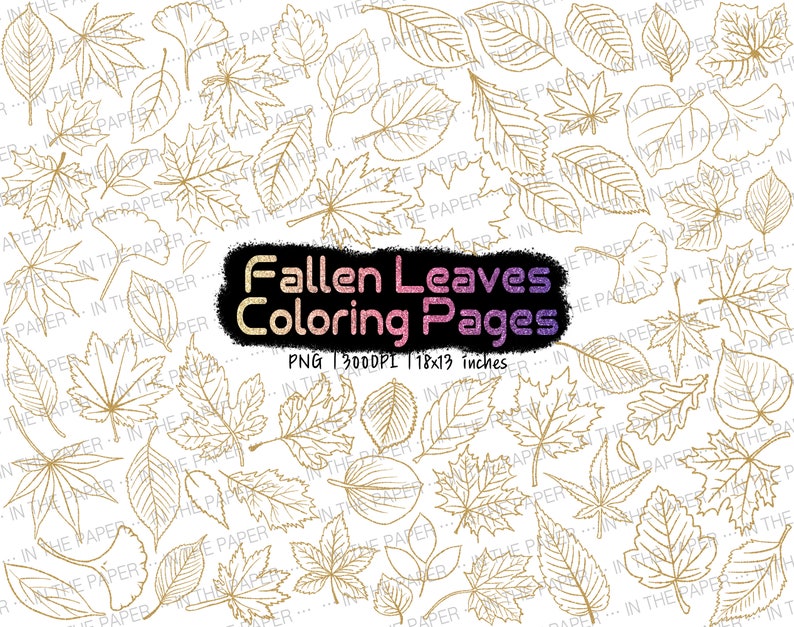 COLORING PAGES Fall Gold Leaves Png Svg Eps Pdf - Etsy