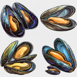 Mussels PNG | Seashell Clip Art Under the Sea Animal Seafood Planner ...
