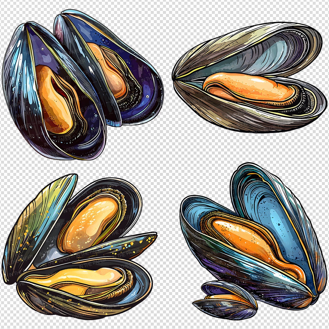 Mussels PNG | Seashell Clip Art Under the Sea Animal Seafood Planner ...