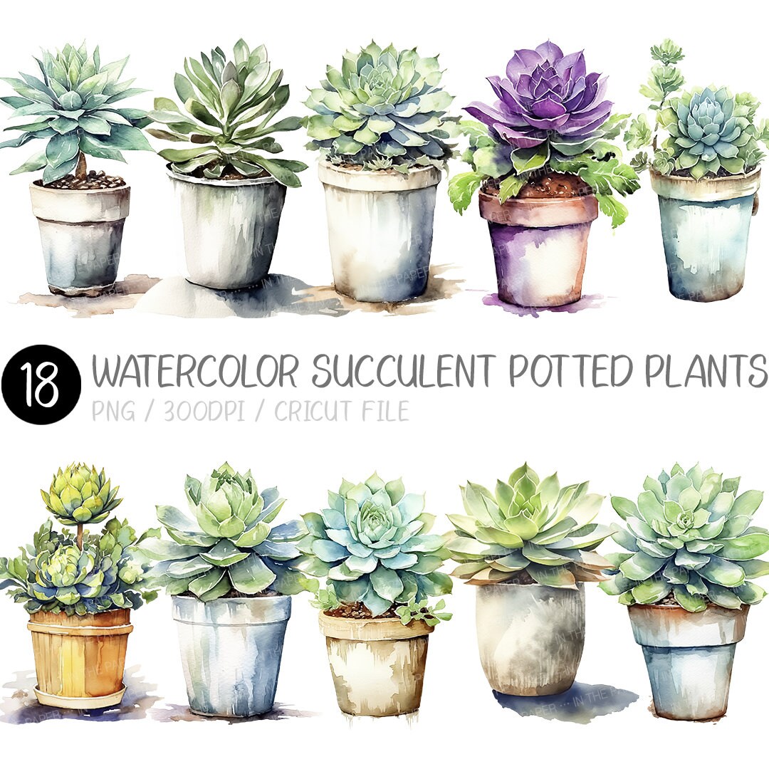 Watercolor Succulent Potted Plants PNG | Greenery Clipart Cactus Aloe ...