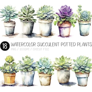 Watercolor Succulent Potted Plants PNG | Greenery Clipart Cactus Aloe ...
