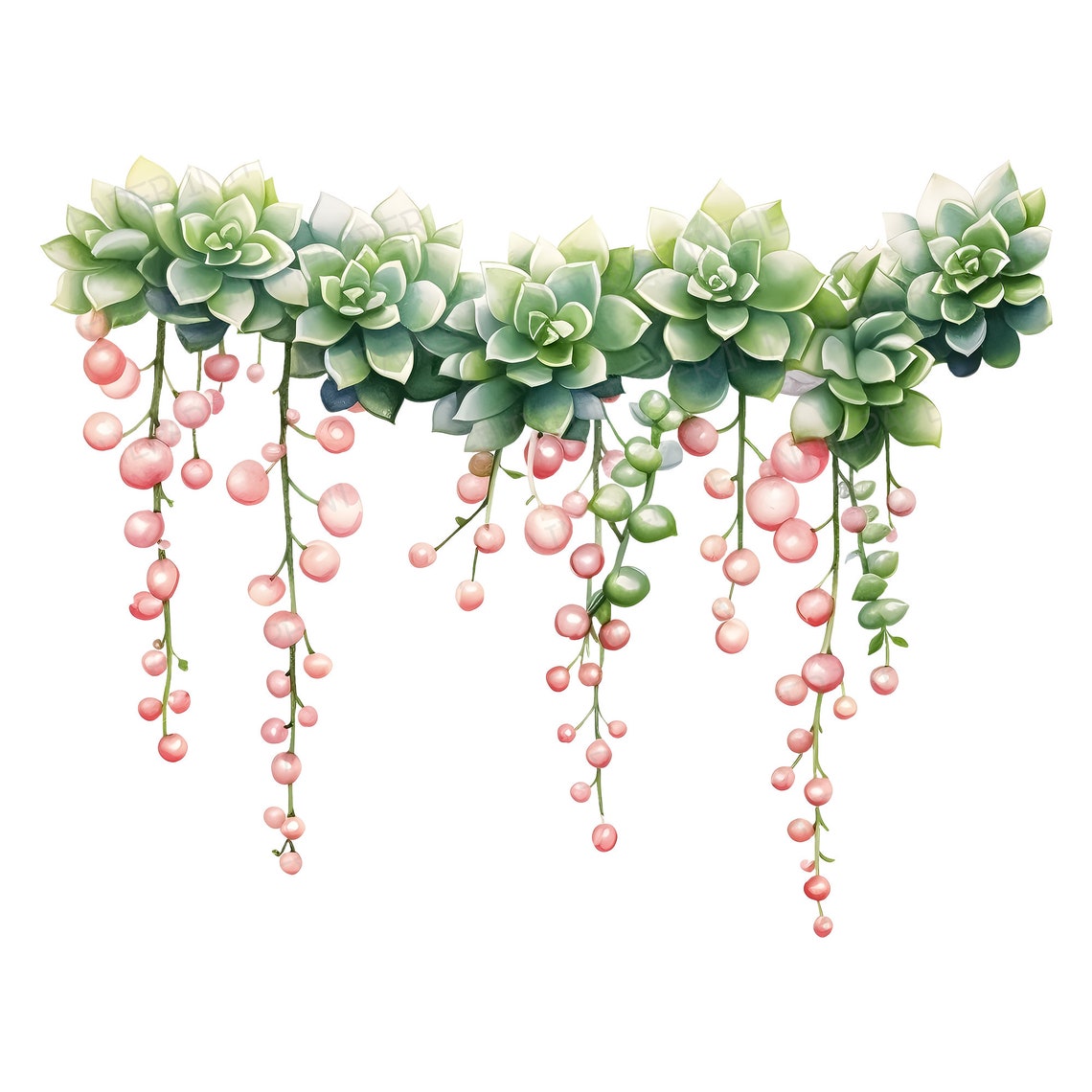 Succulent Garland Delight PNG Watercolor Painting Green Cactus Vine ...