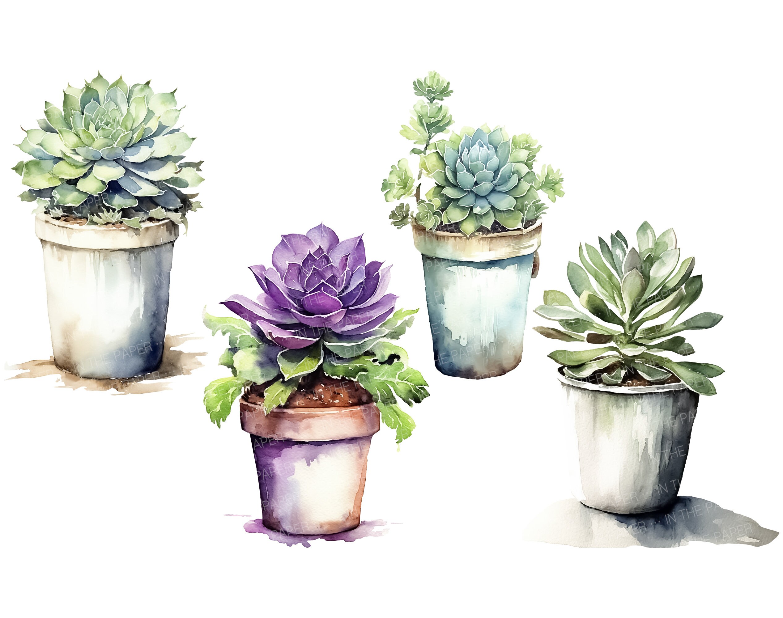 Watercolor Succulent Potted Plants PNG Mini Pot, Aloe, Clipart, Agave ...