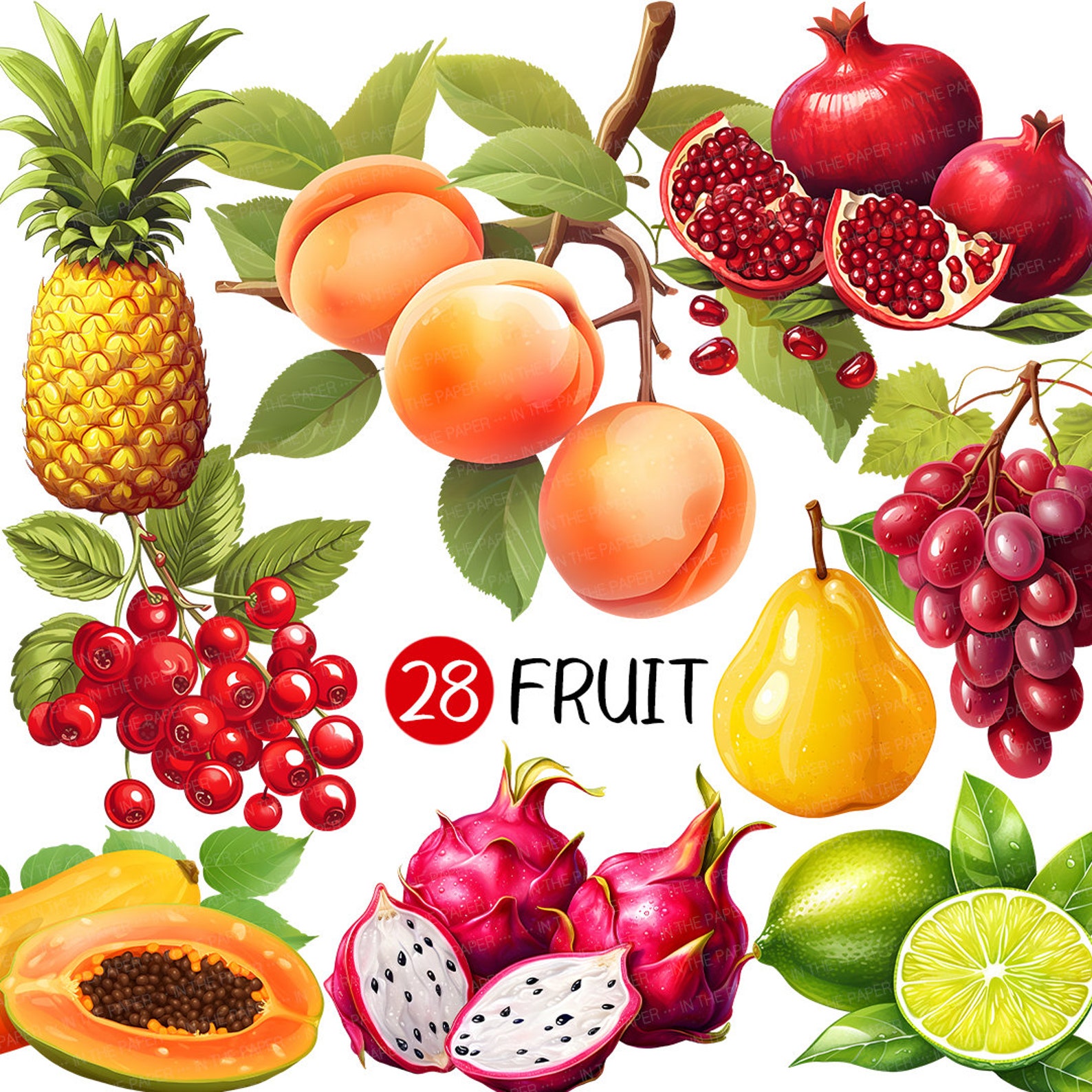 Fruit PNG | Summer Clip Art FIG Lime Kiwi Lemon Peach Red Apple Duria ...