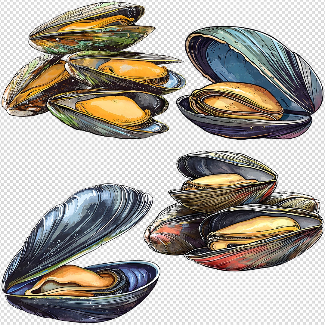 Mussels PNG | Seashell Clip Art Under the Sea Animal Seafood Planner ...