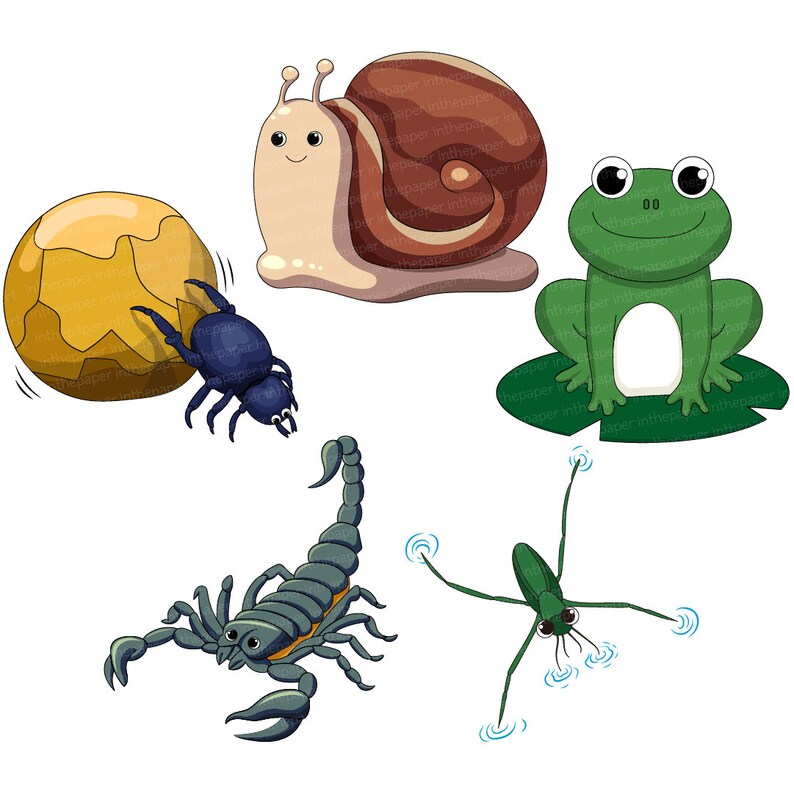 Cute Insects SVG PNG EPS Clipart Animal Ant Butterfly Ball Bug Bee Cicada Dung Beetle Fly Mantis ...