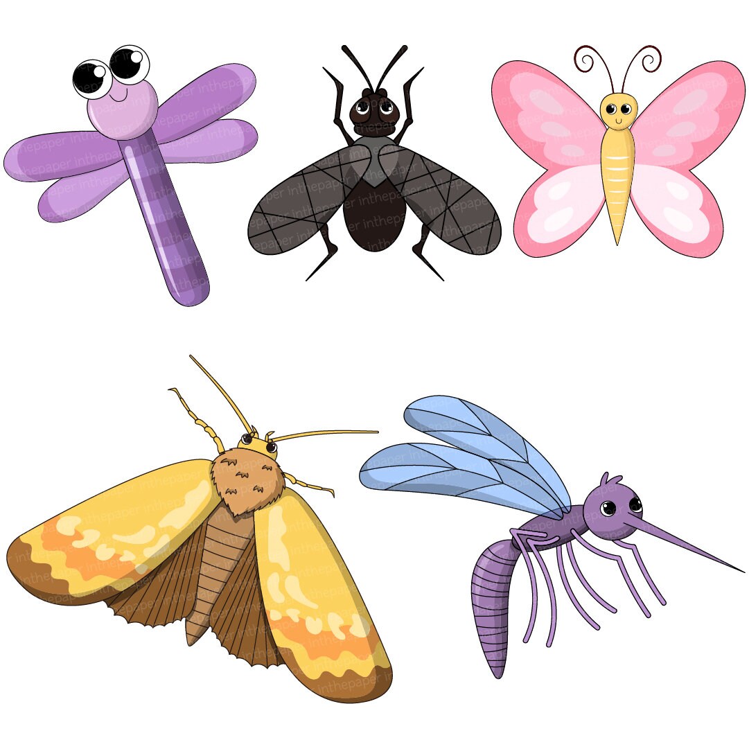 Insectos lindos / SVG PNG EPS Clipart Animal Hormiga Mariposa Insecto ...