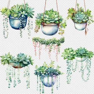 Vibrant Watercolor Cacti and Succulents | Cactus PNG Botanical Clip Art ...