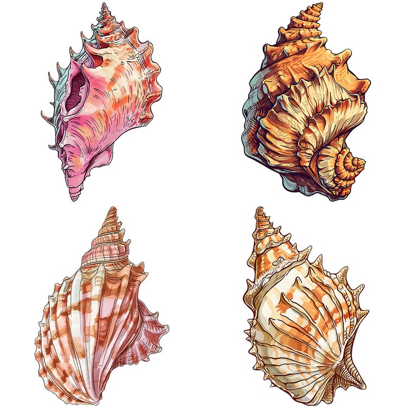 Conch Shell PNG Seashell Conch Clip Art Under the Sea Creature Seashell ...