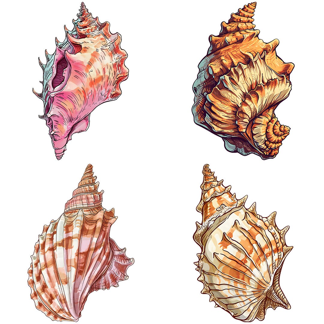 Conch Shell PNG Seashell Conch Clip Art Under the Sea Creature Seashell ...