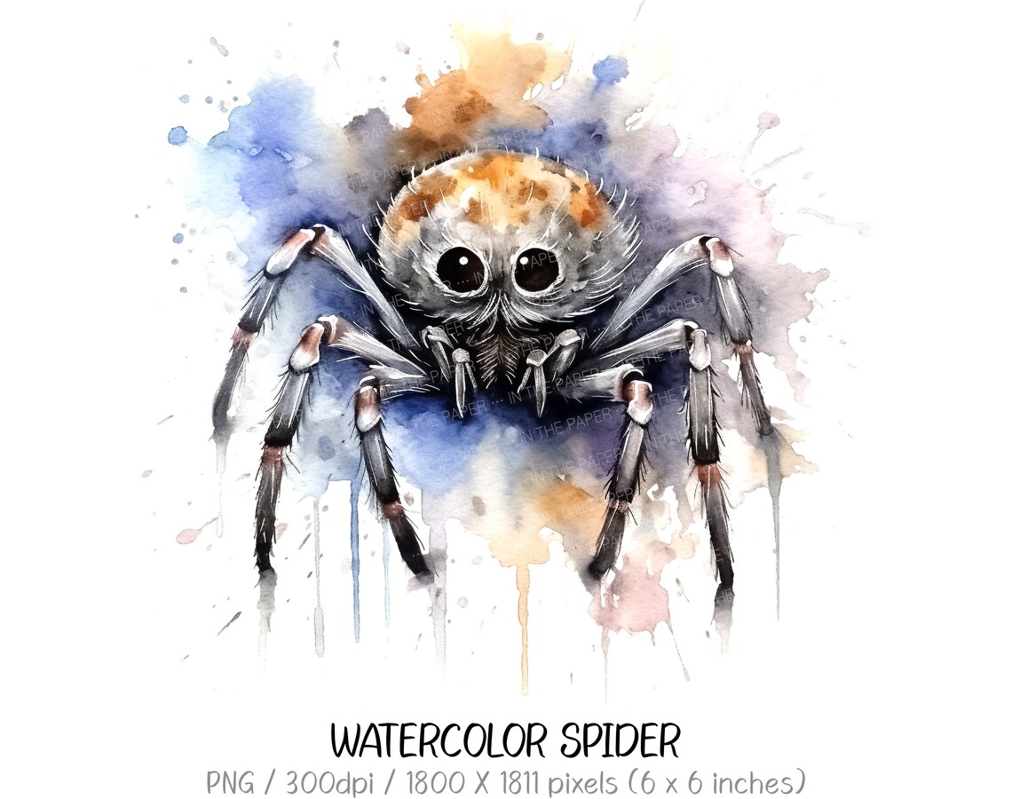 Watercolor Spider PNG Clip Art Tarantula Insect - Etsy
