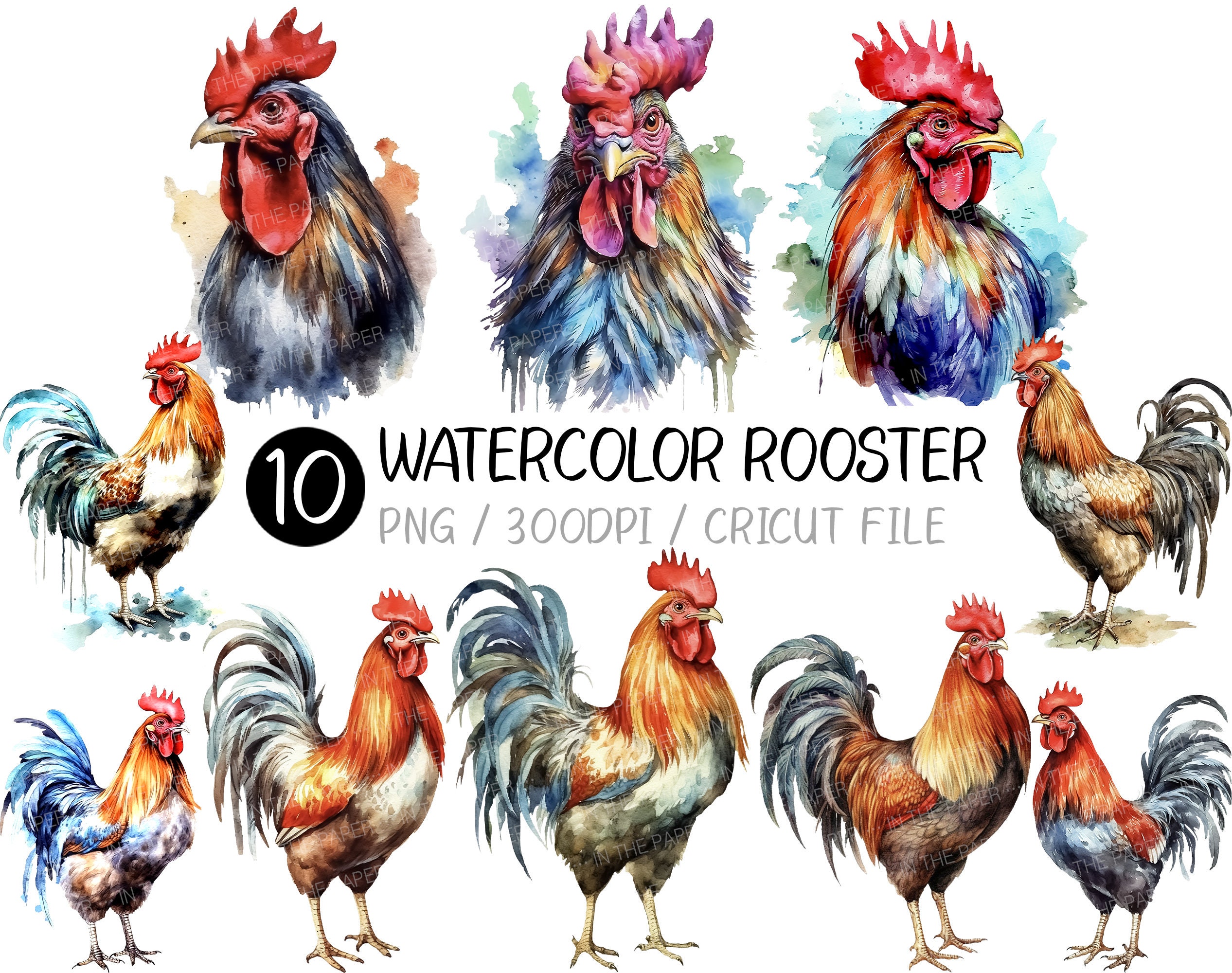 Watercolor Rooster Clipart Animal Nursery Png Chicken - Etsy