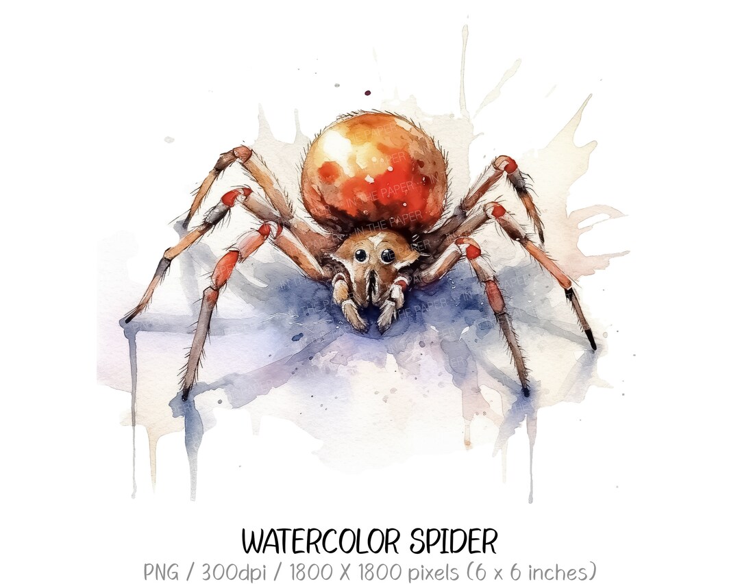Watercolor Spider PNG Clip Art Tarantula Insect - Etsy