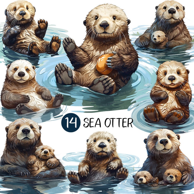 Sea Otter PNG Cute Sea Animal Clip Art Under the Sea Illustration ...