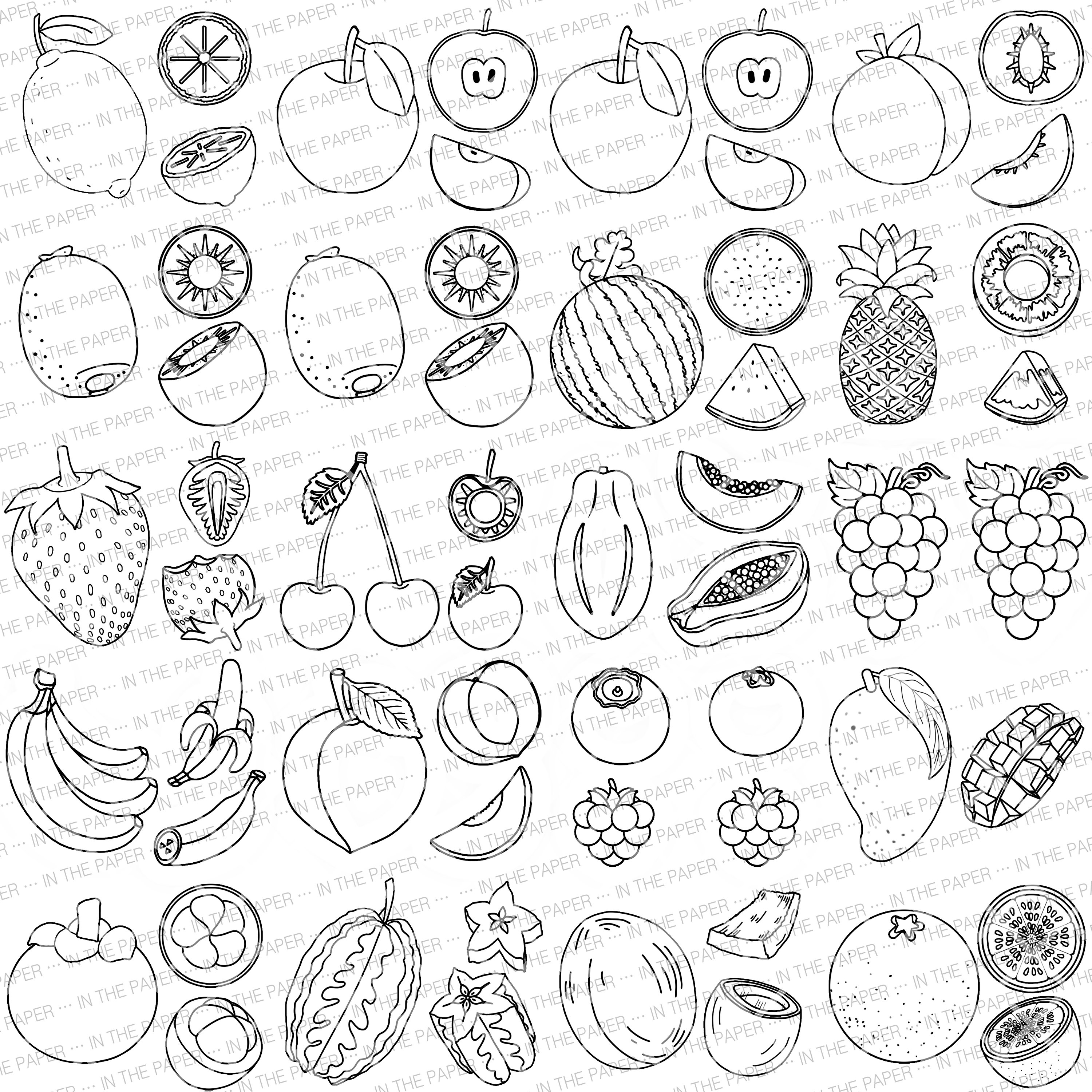 COLORING PAGE Fruit Png Svg Eps Pdf Clipart Vector for Adult Sticker ...