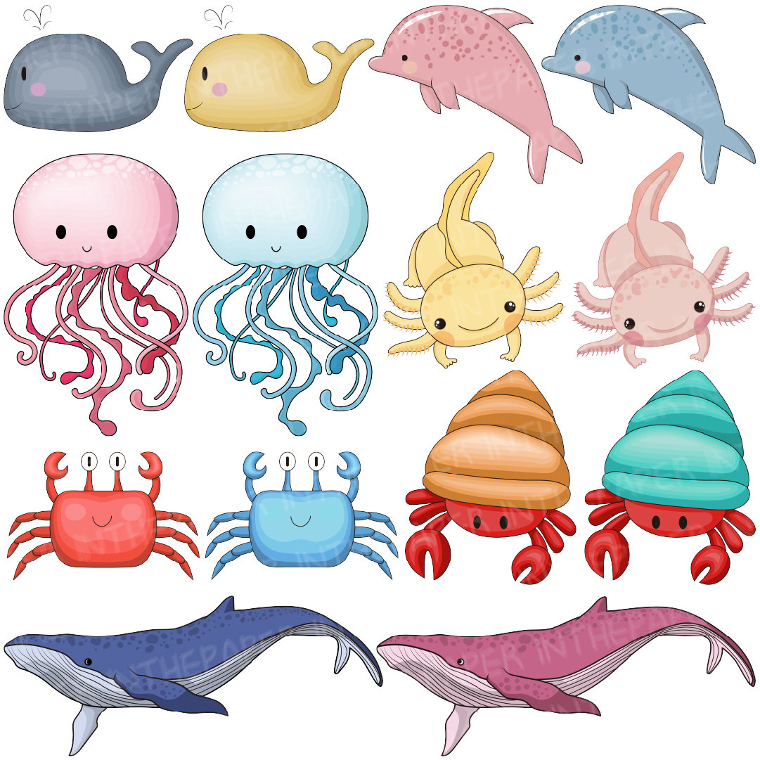 Under the Sea Animals PNG | Cute Fish SVG Clipart Humpback Whale ...