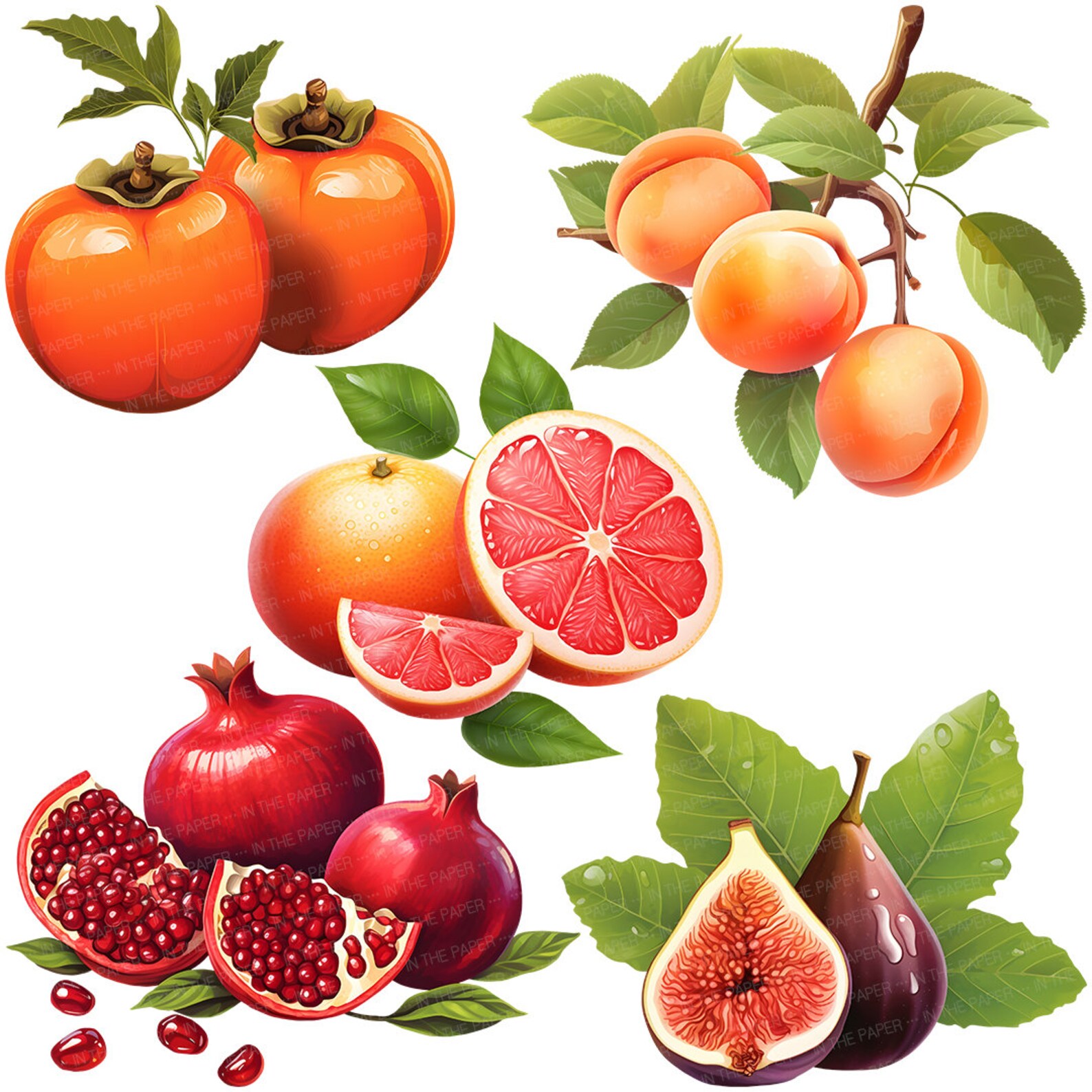Fruit PNG | Summer Clip Art FIG Lime Kiwi Lemon Peach Red Apple Duria ...