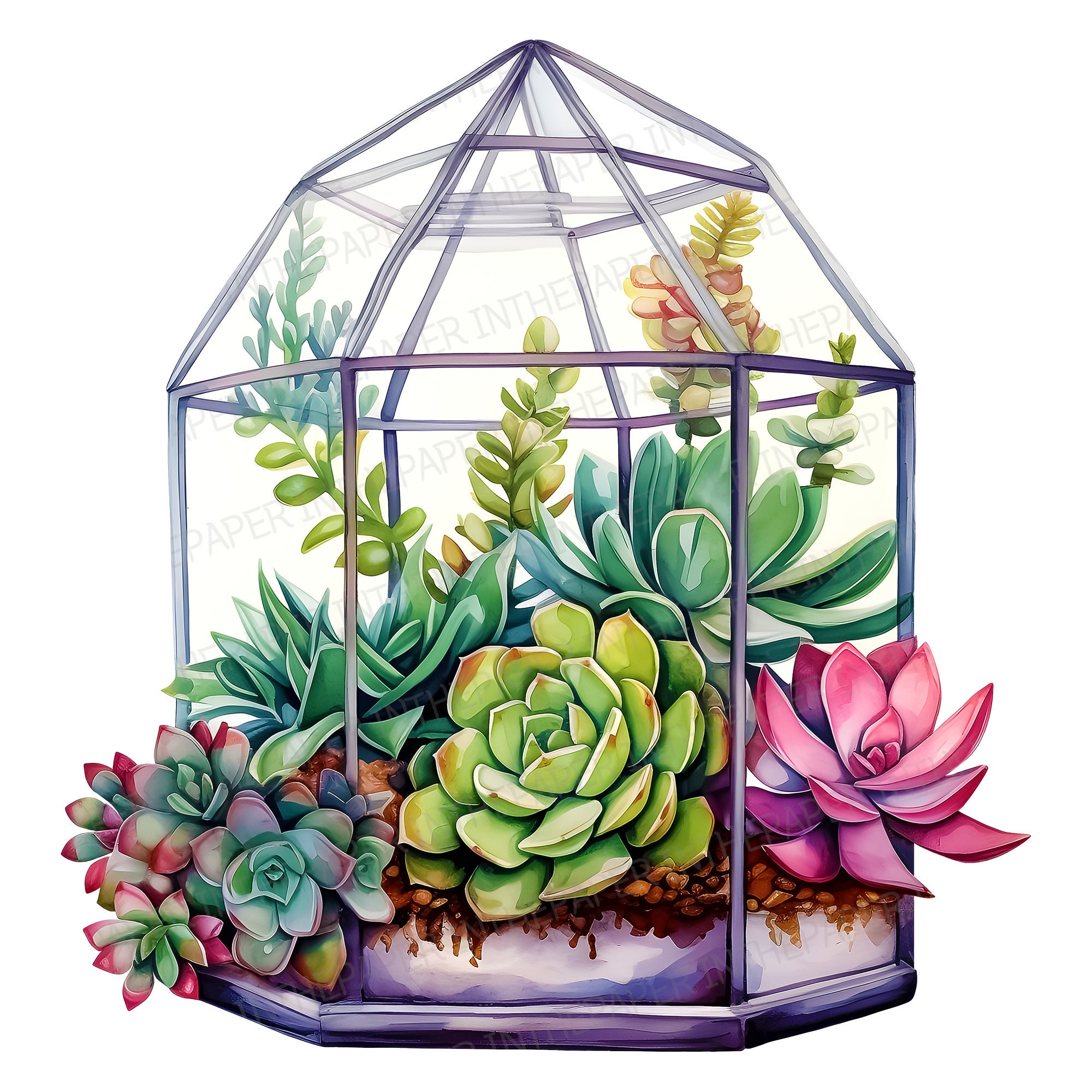 Succulent Garden Watercolor PNG Cactus Clip Art Cacti Botanical ...