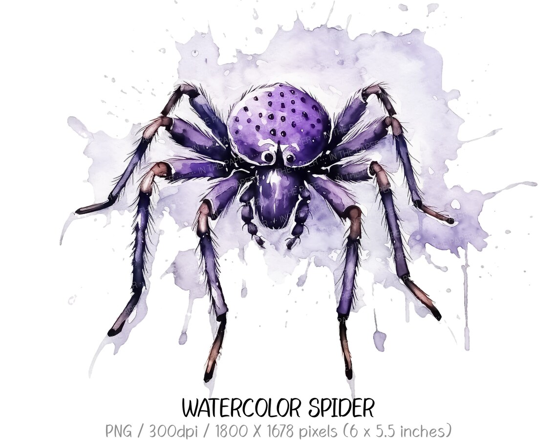 Watercolor Spider PNG Clip Art Tarantula Insect - Etsy