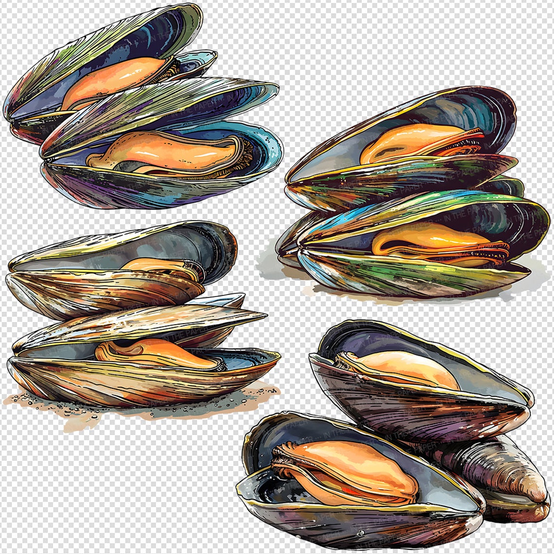 Mussels PNG | Seashell Clip Art Under the Sea Animal Seafood Planner ...