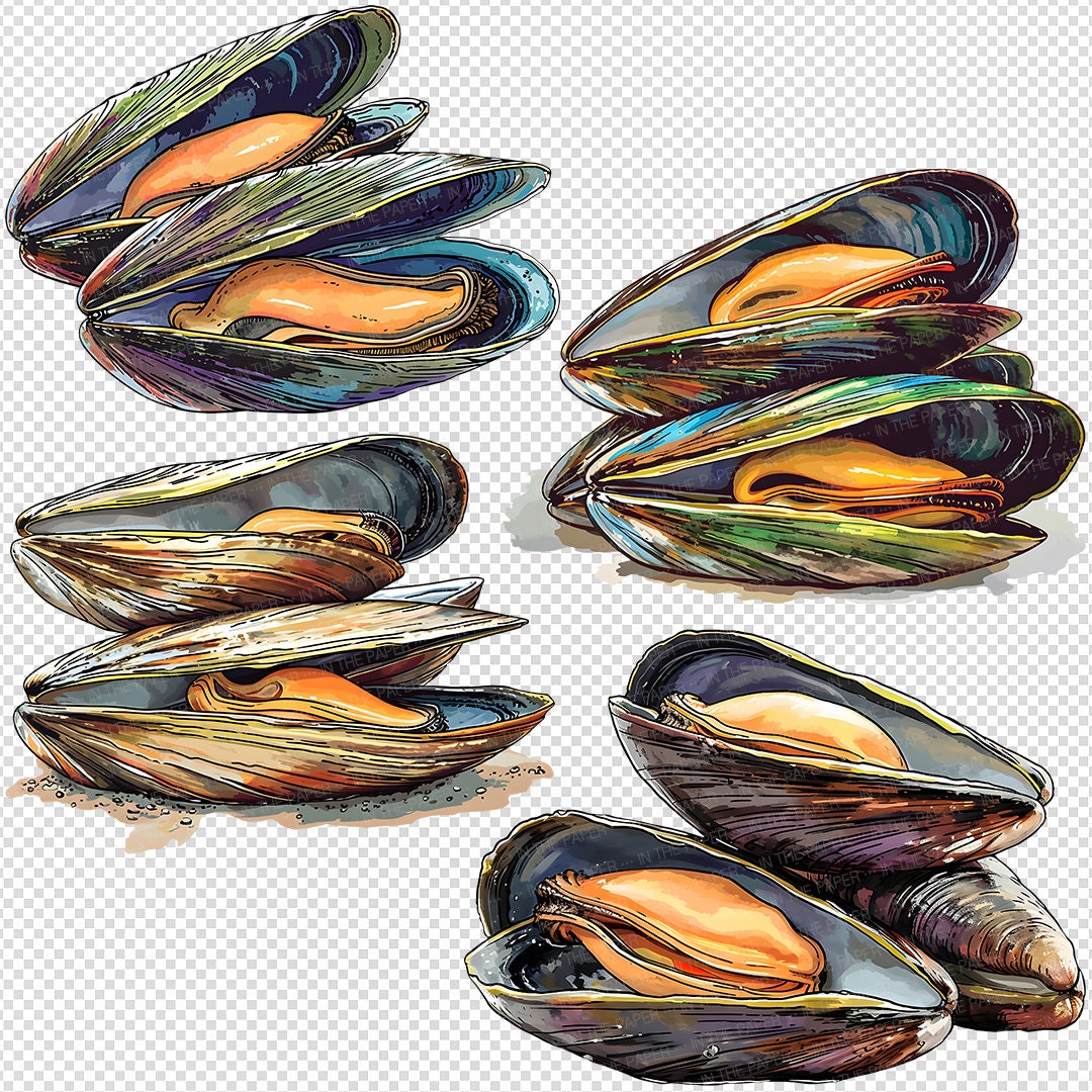 Mussels PNG | Seashell Clip Art Under the Sea Animal Seafood Planner ...