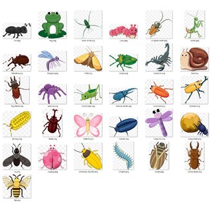 Cute Insects | SVG PNG EPS Clipart Animal Ant Butterfly Ball Bug Bee Cicada Dung Beetle Fly ...