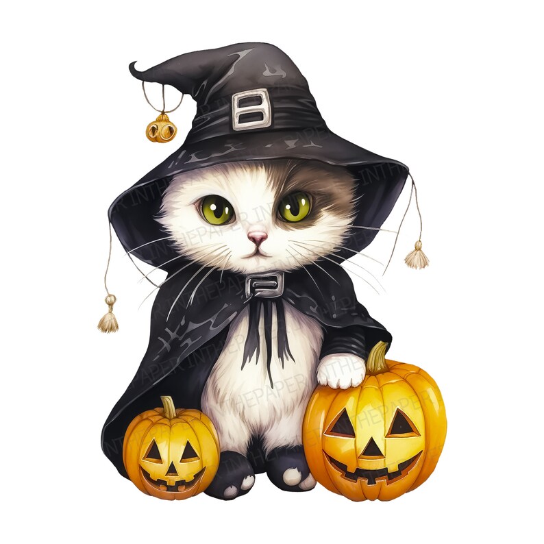 Enchanting Witch Cat PNG Halloween Clip Art, Watercolor, Gothic, Wizard ...