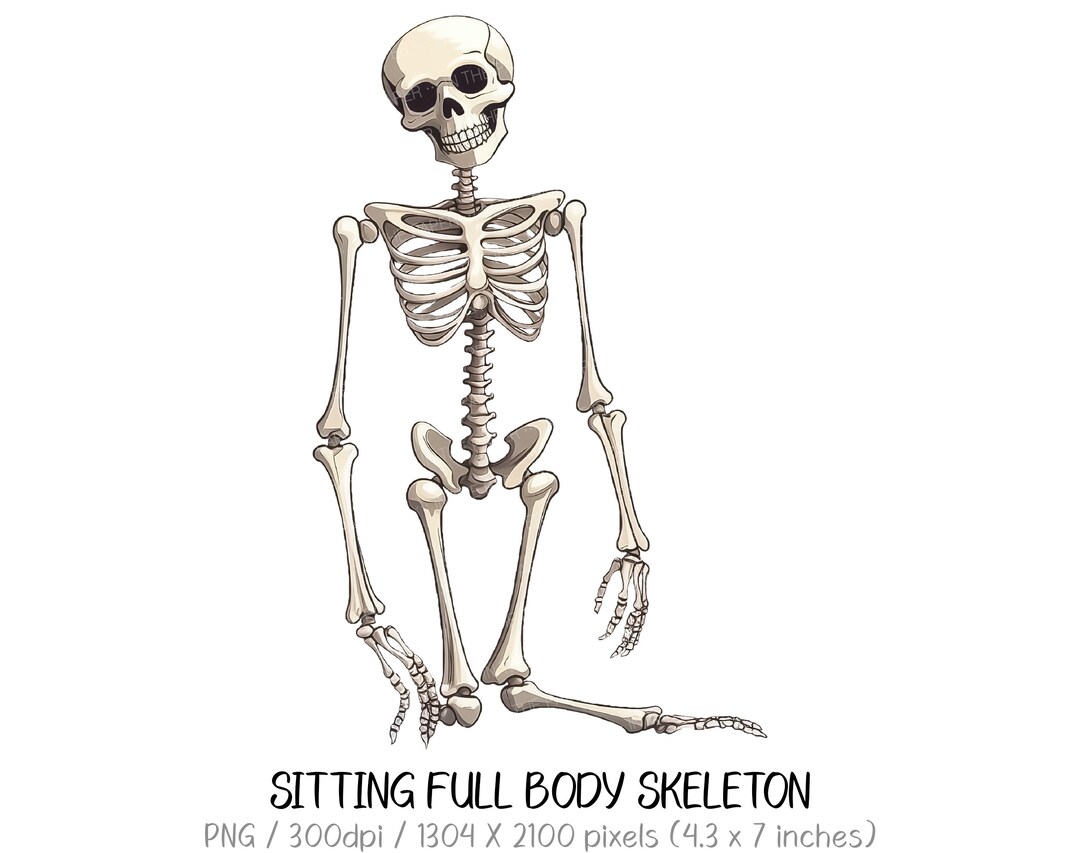Sitting Full Body Skeleton PNG Skull, Clip Art, Grayscale, Monotone ...