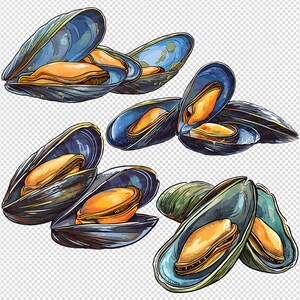 Mussels PNG | Seashell Clip Art Under the Sea Animal Seafood Planner ...