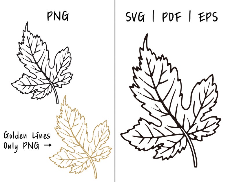 COLORING PAGES Fall Gold Leaves Png Svg Eps Pdf - Etsy