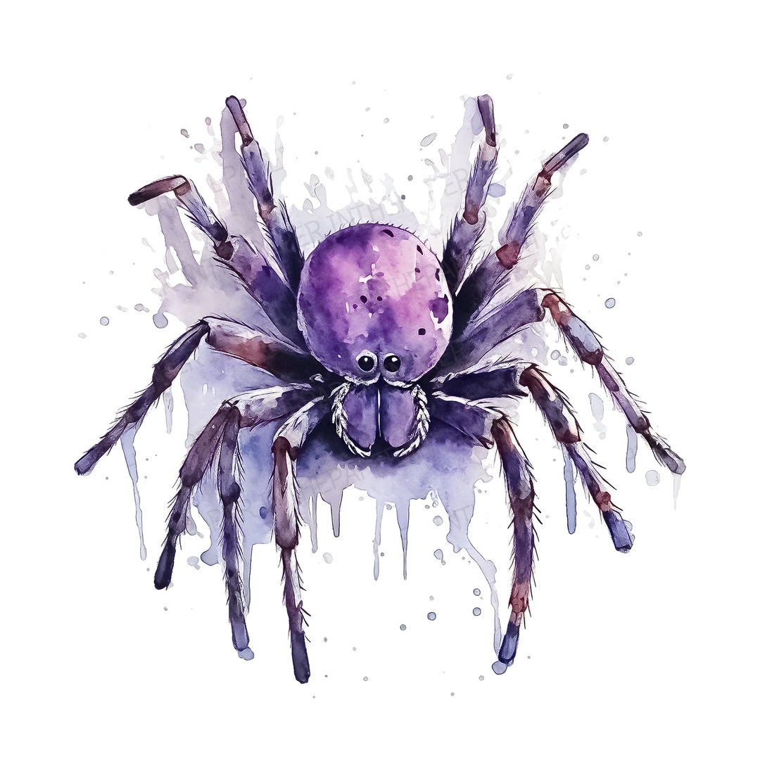 Watercolor Halloween Purple Spider PNG Clip Art, Tarantula, Violet ...